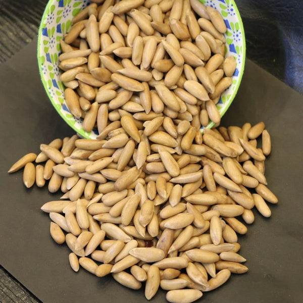 Golden Chilgoza (Pine Nuts) – Gilgit Baltistan Dry Fruits Merchant