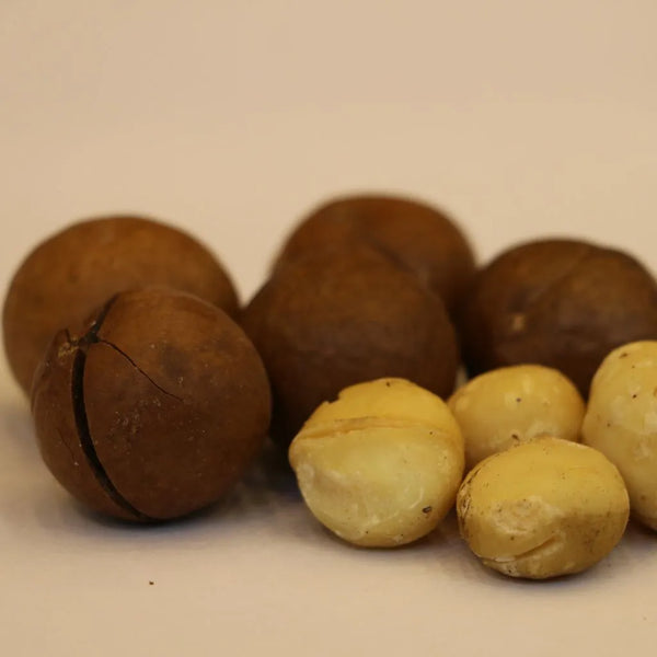 Macadamia Nuts (chabi wala akhrot) – Gilgit Baltistan Dry Fruits Merchant